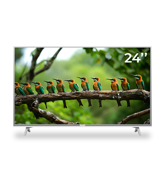 SZM 24DM 24D LED TV – Skyzen – skyzenindia
